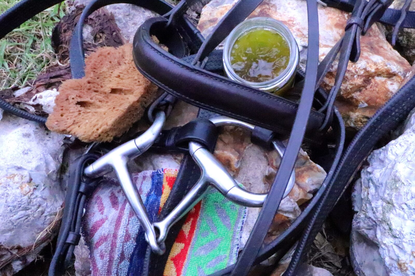 Guide on How to Clean & Care for a Bridle with Natural Products 2019 ...