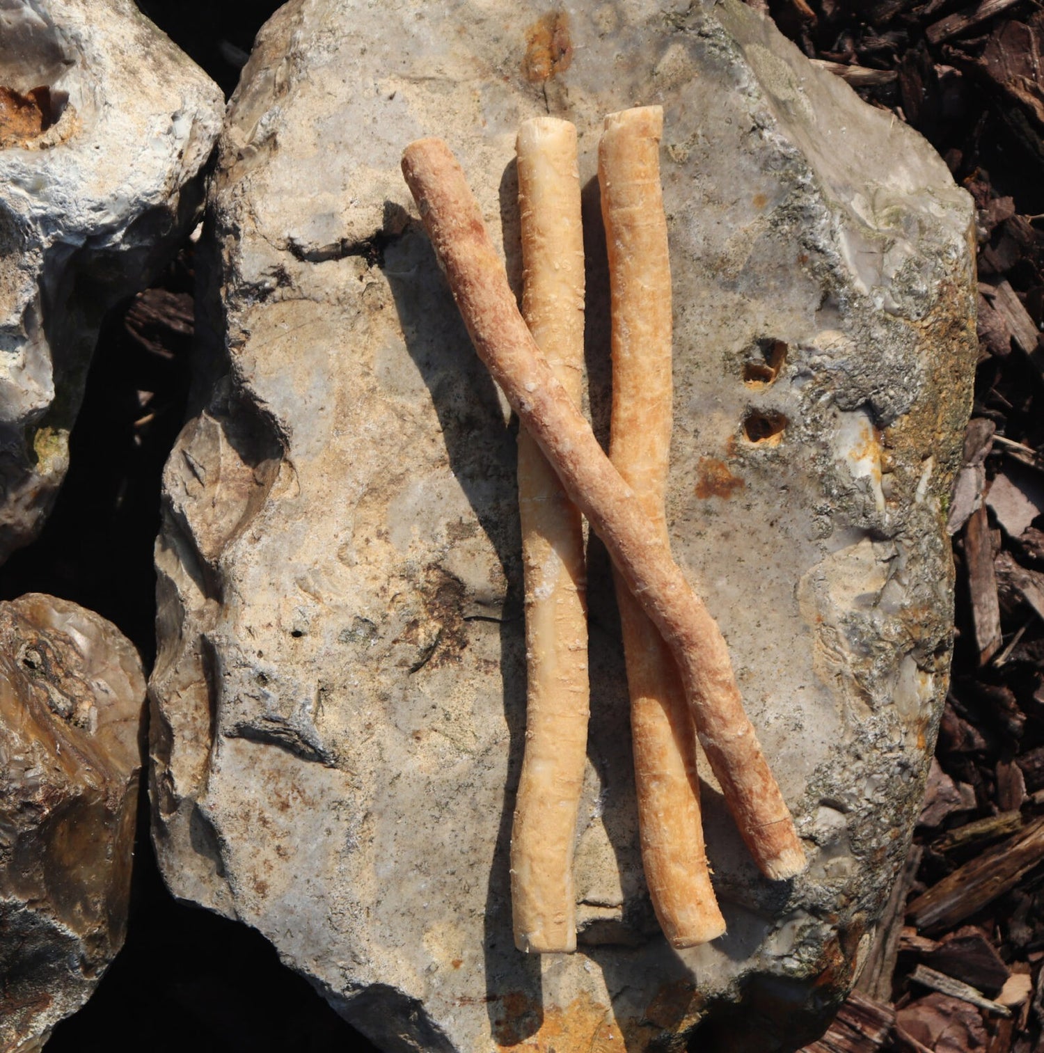 Toothbrush Stick, Miswak, Chewing Stick Natural Dental Care - Natural ...
